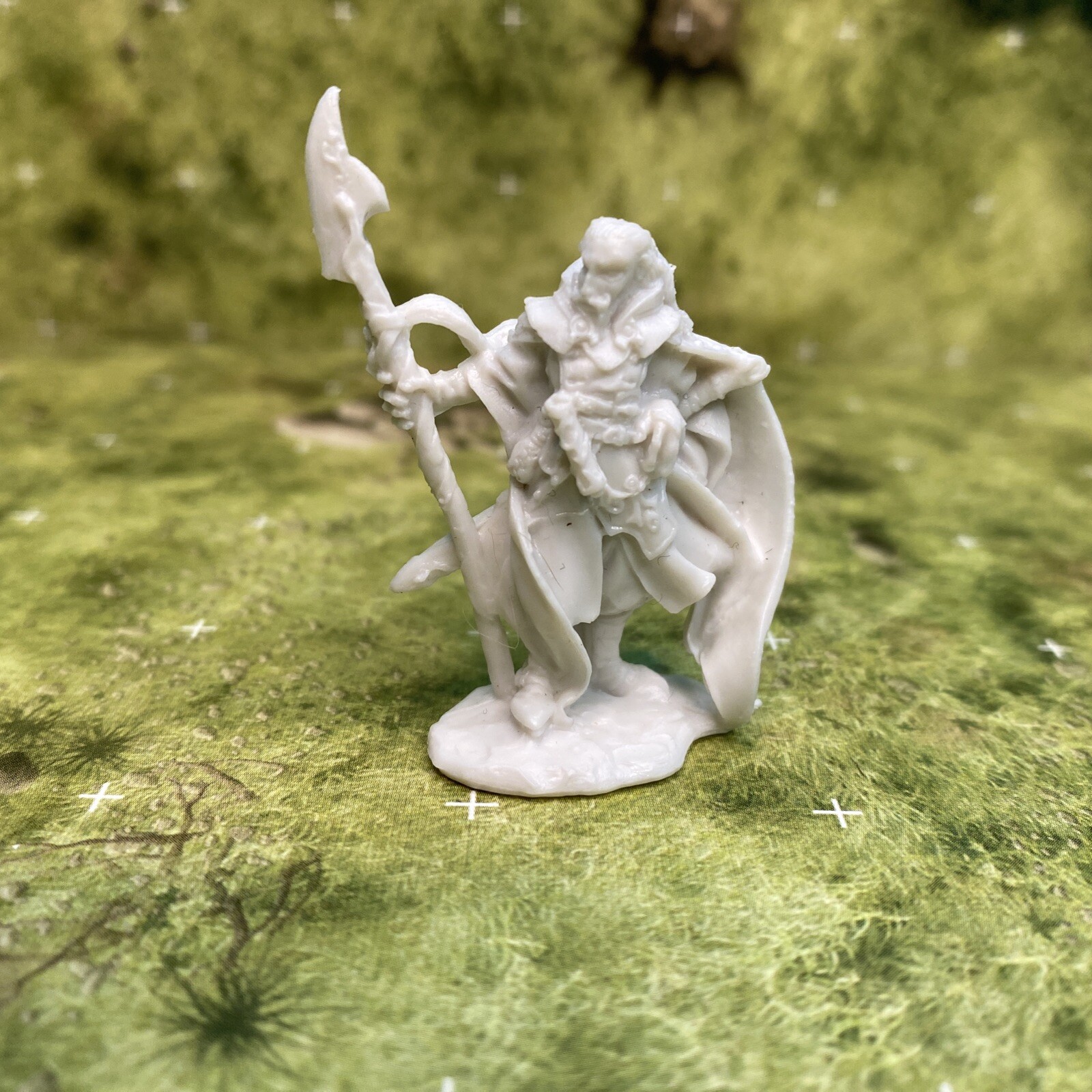 Reaper Valandil Wizard (Bones) High Mage Archmage Lord Sorcerer Hero | eBay