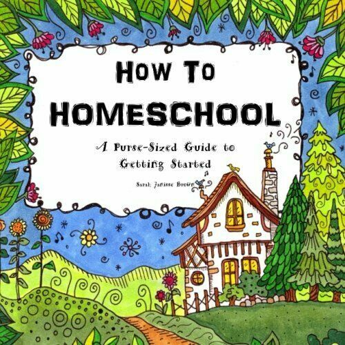 HOW TO HOMESCHOOL A PURSE SIZED GUIDE TO GETTING STARTED By Sarah HOW TO HOMESCHOOL A PURSE SIZED GUIDE TO GETTING STARTED By Sarah