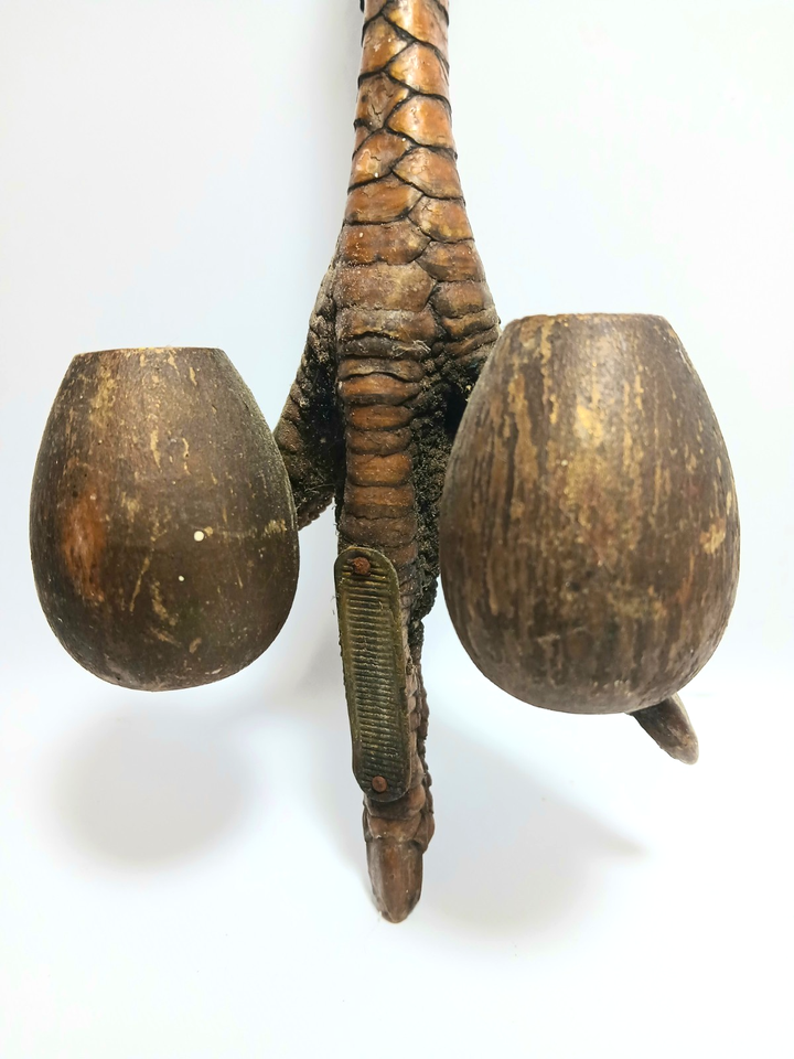 Early Original Adirondack Cabin Folk Art Taxidermy Turkey Foot Match ...