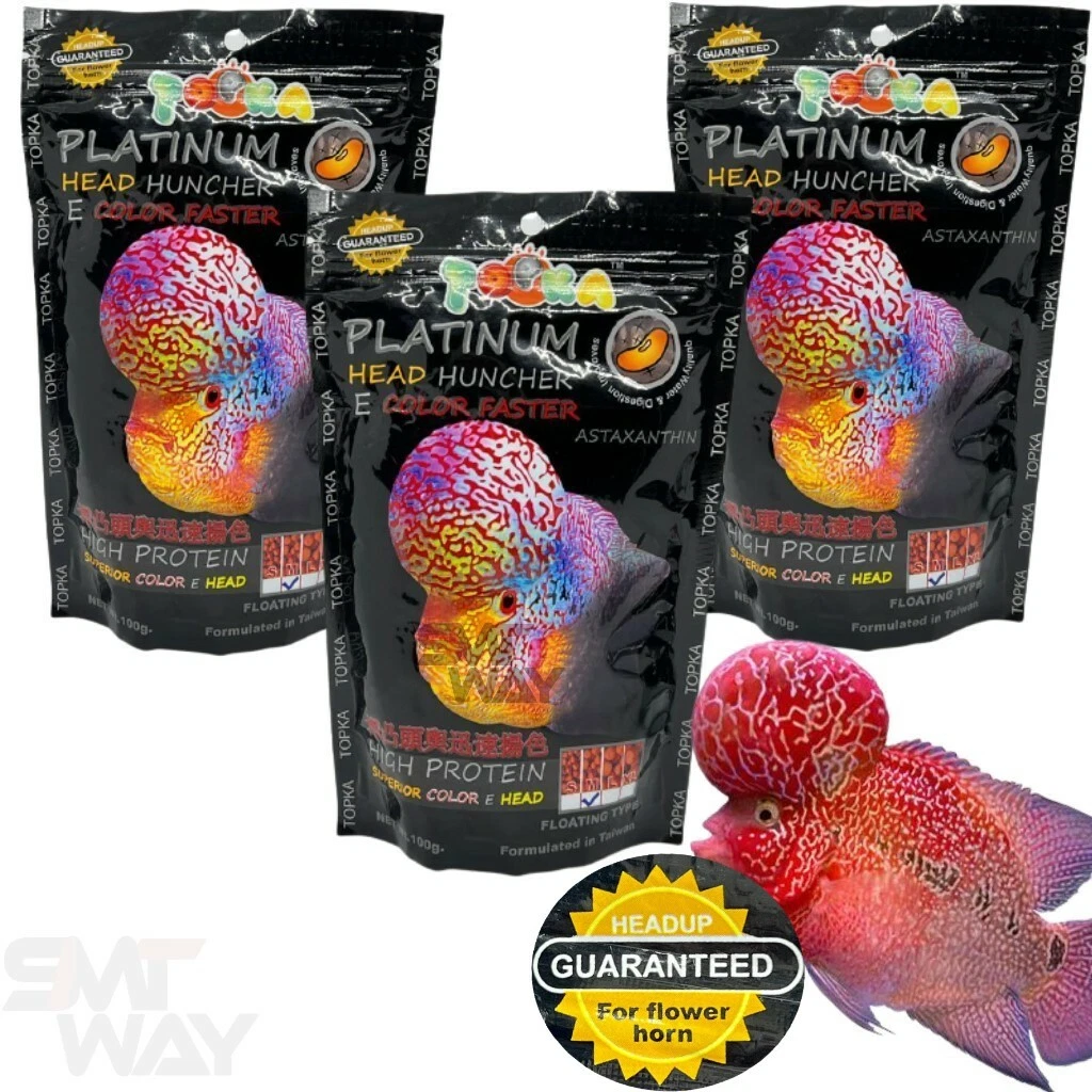 Flowerhorn Fish Food For Head Growth