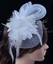Spring Racing Race Party Melbourne Cup Feather Fascinator Headband ...