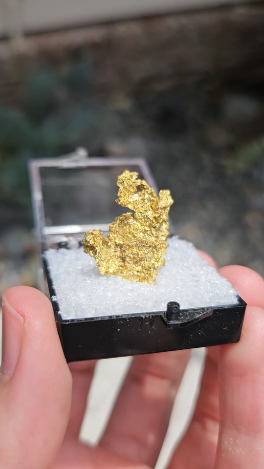 Crystallized Native Gold Collector Fine Mineral Specimen - Oriental ...