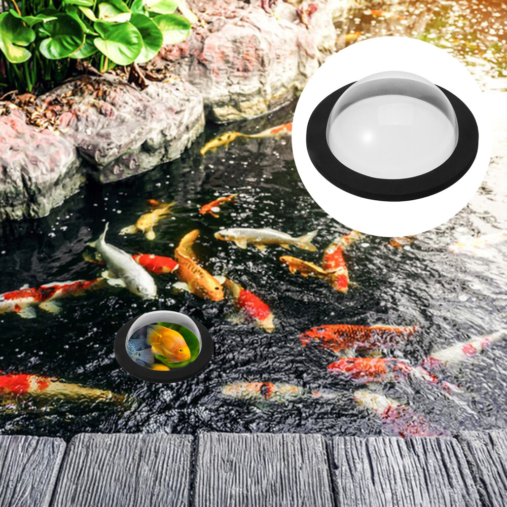Koi Pond Sphere 900+ Best Koi Ponds Ideas | Koi, Koi Pond, Japanese