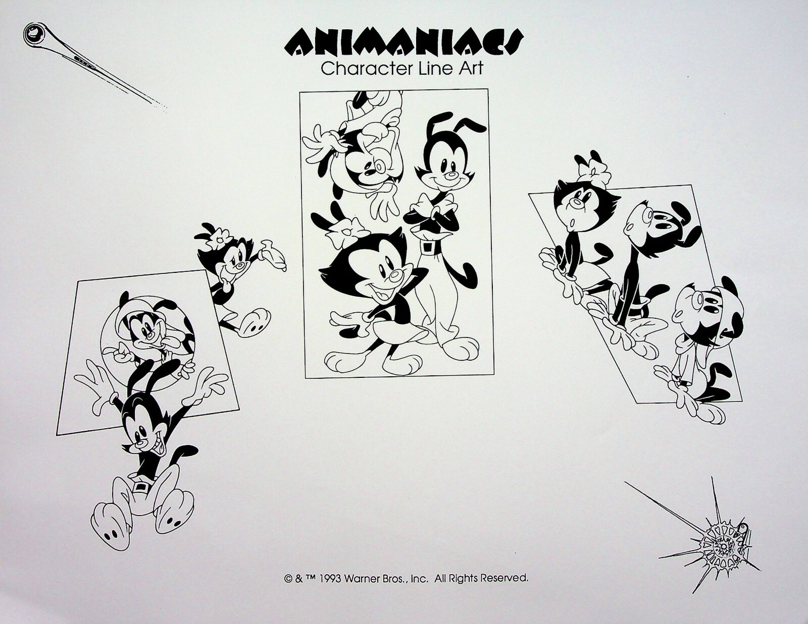 Animaniacs 1993 Production CHARACTER LINE ART MODEL SHEET Copy WB ...