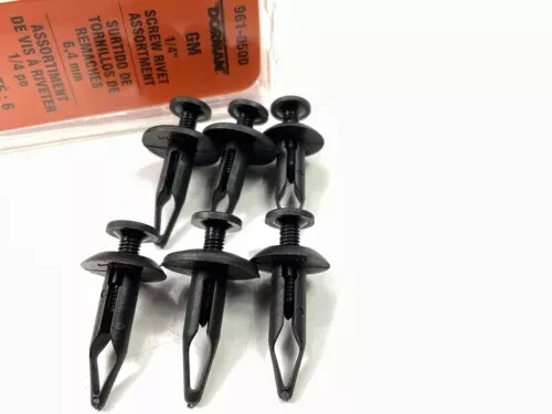 Dorman 961-050D 1/4" Screw Rivet Assortment 6 PCS. | eBay