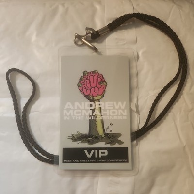 ANDREW MCMAHON VIP MEET GREET PASS LAMINATE SOMETHING CORPORATE RARE | eBay