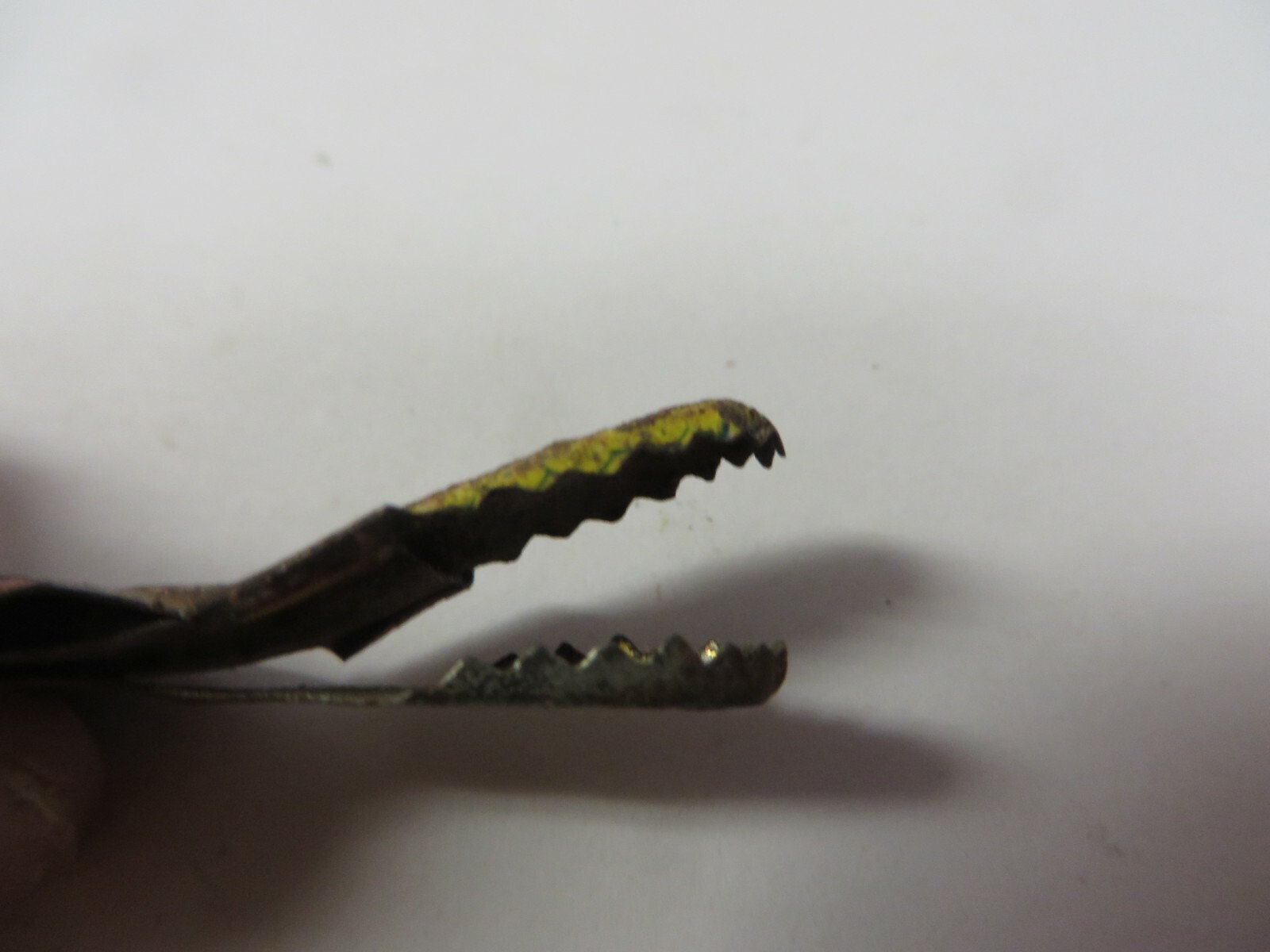 Vintage ALLIGATOR SHAPED Clicker Noisemaker Metal Tin Toy w/ JAGGED ...