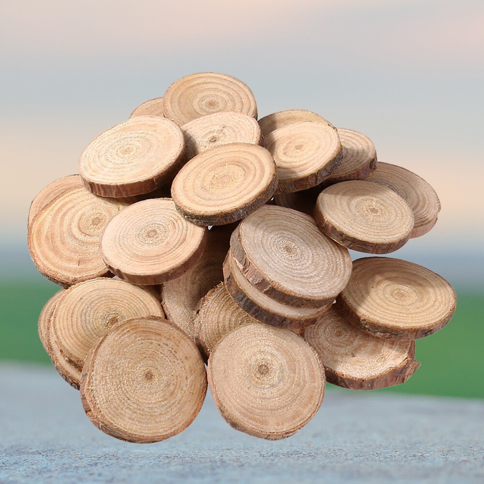 100PCS natural wood slice Log discs wood gift tag 1.5-3CM Wood Log ...