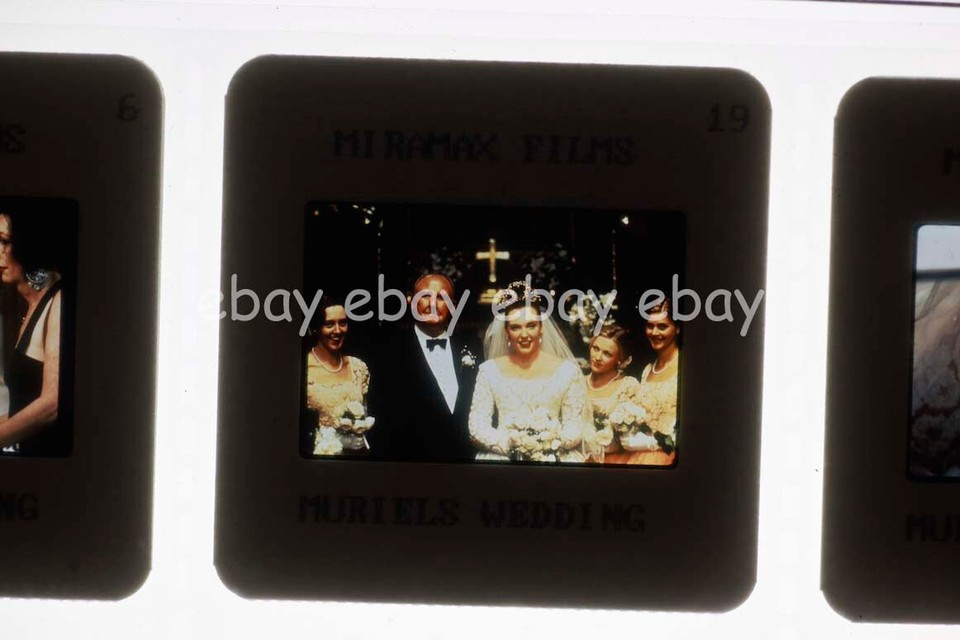 Muriel's Wedding Toni Collette 1994 Film Movie Promo Photo 35mm slide ...