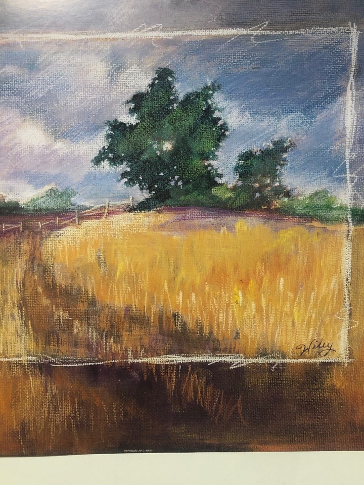 FINE ART LITHOGRAPH: Hayfields II BY J WILEY 28 X 19.5 | eBay