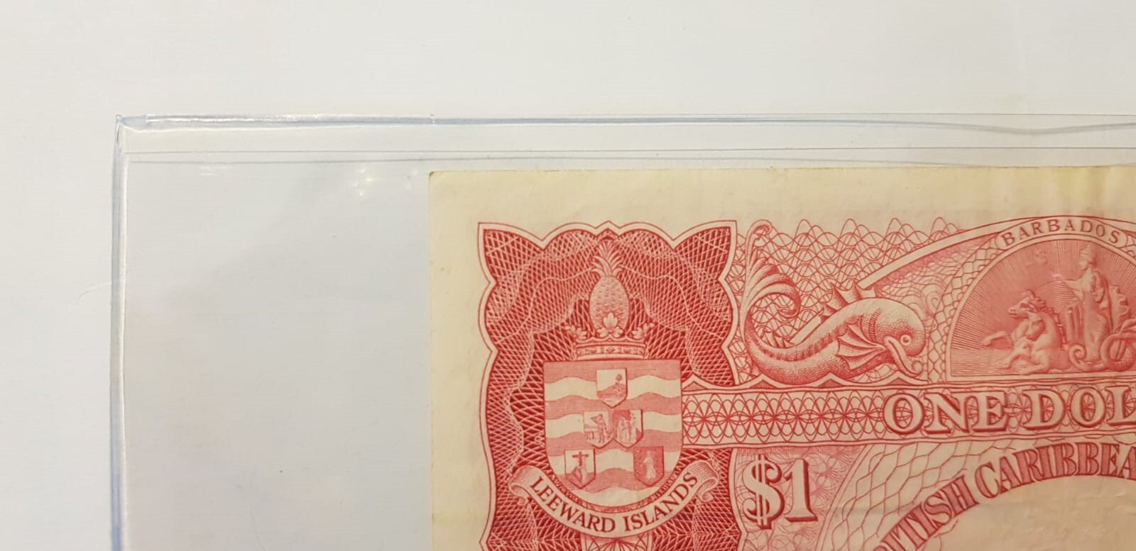 100 Large Currency Banknote Sleeves DuPont Mylar Melinex Polyester ...