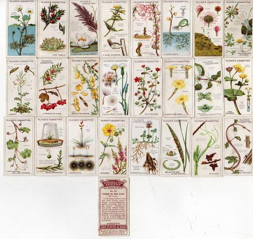 1900s English Tobacco Sheets Complete Collection | eBay