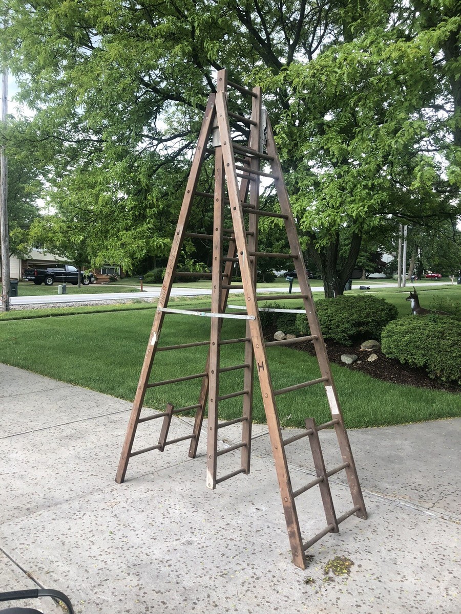 Wooden A Frame Ladder Stehleiter Werner (Holz) Beidseitig Begehbar