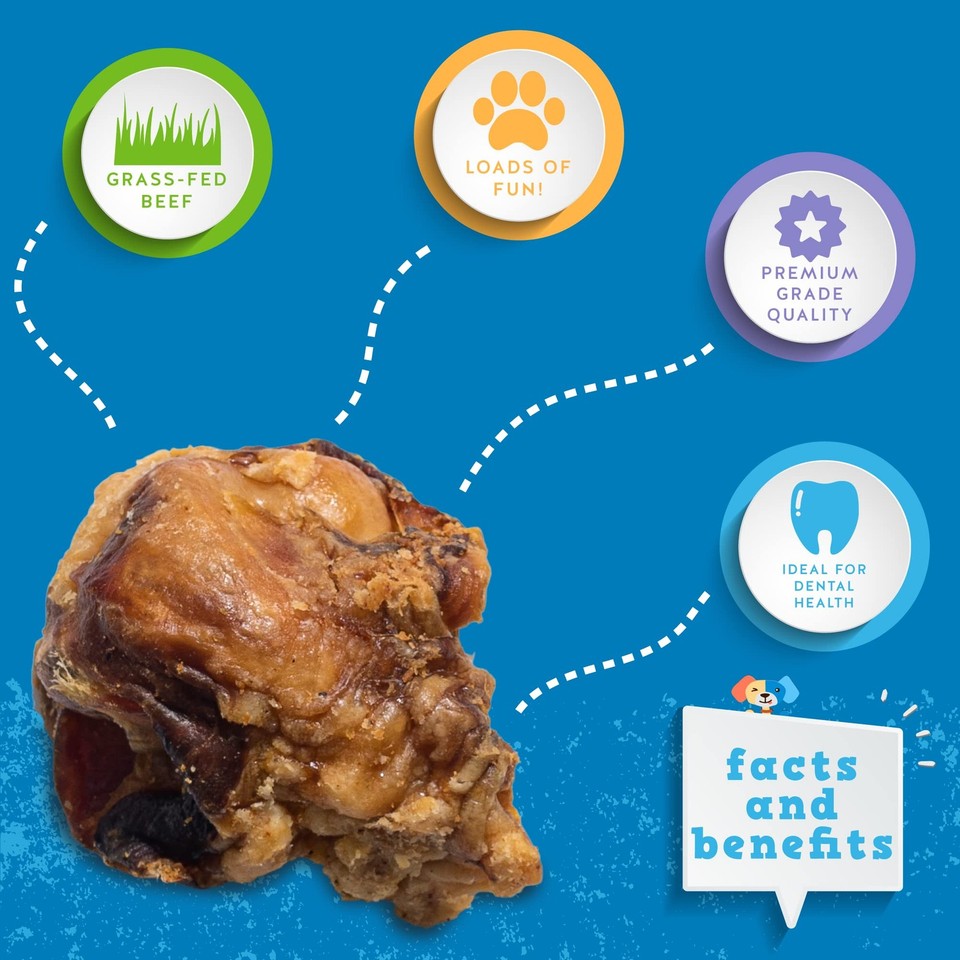 Beef Bones, Knee Cap for Dogs, Long Lasting Natural Dog Bones, Beef ...
