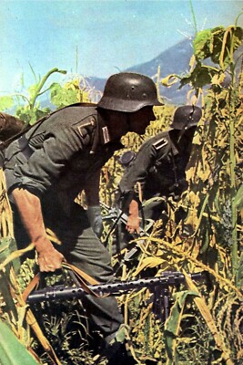 German infantry advance through a Russian corn field WW2 Photo Glossy 4 ...