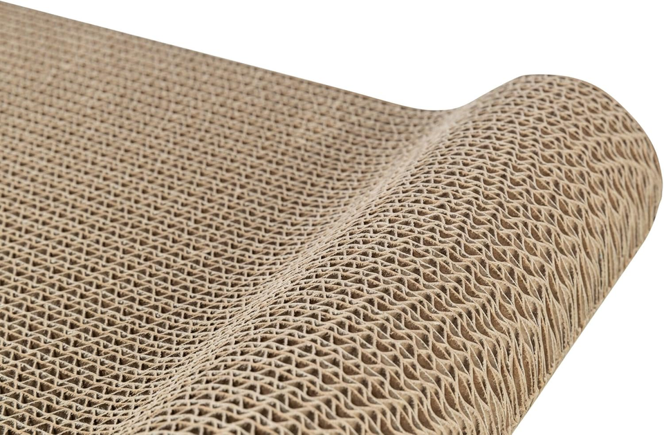 48000 Wild Tiragraffi in Cartone, Colori Assortiti, 41 X 24 X 7 Cm, 1 ...