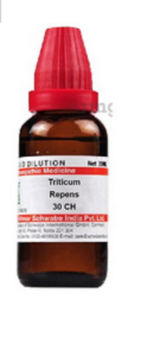 Dr Willmar Schwabe India Triticum Repens 30 CH Dilution 30 ml A892 ...