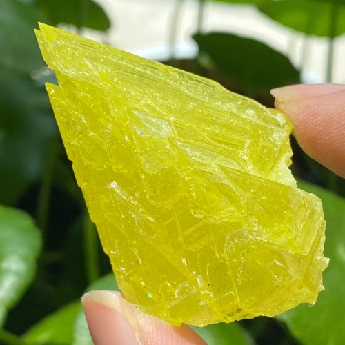 Rare 14g Natural Yellow Sulfur Crystal Quartz Crystal Mineral Specimen ...