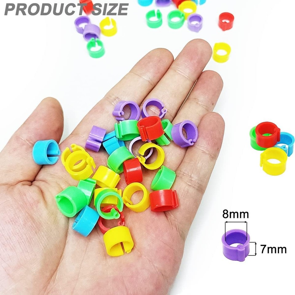 200Pcs 8mm Coturnix Quail Leg Bands Baby Chick Pigeon - | eBay