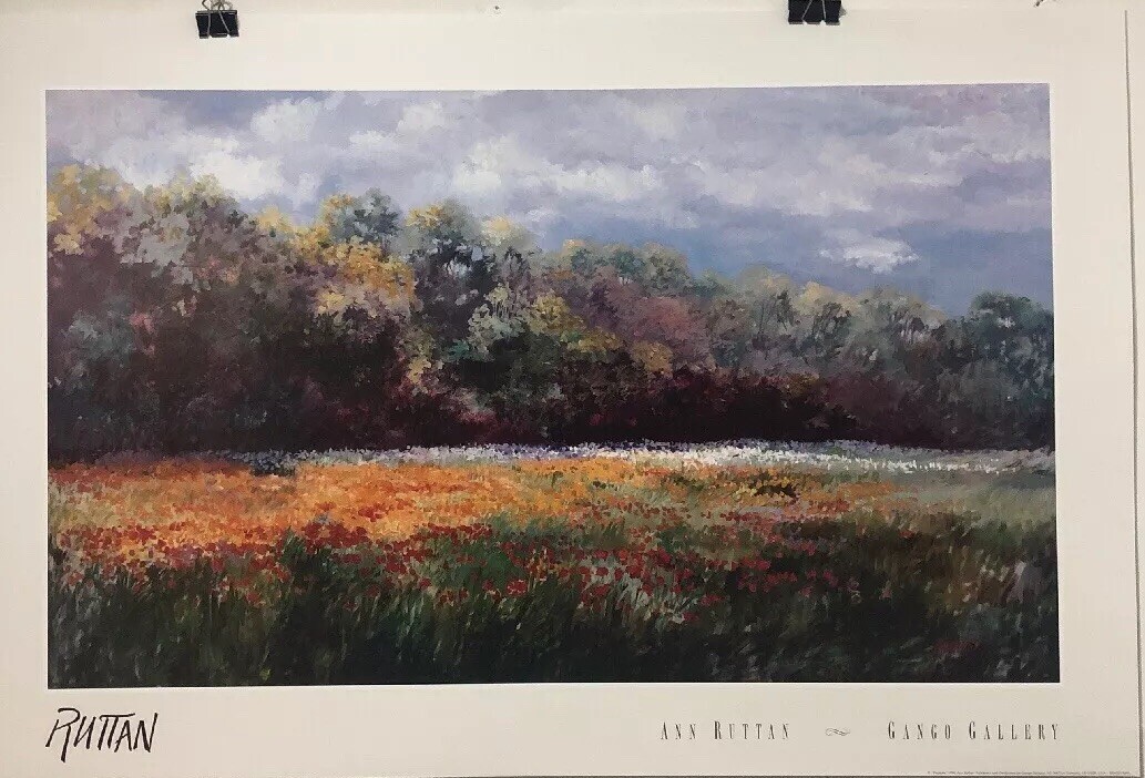 FINE ART LITHOGRAPH: Ann Ruttan - Poppies - 24 X 37 | eBay