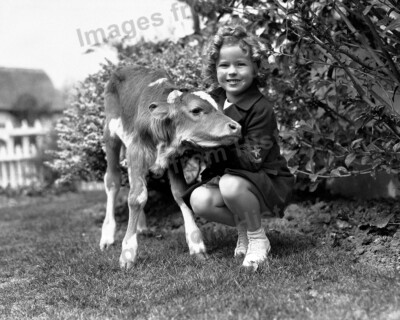 8x10 Print Shirley Temple Posing with a Goat #6143 | eBay