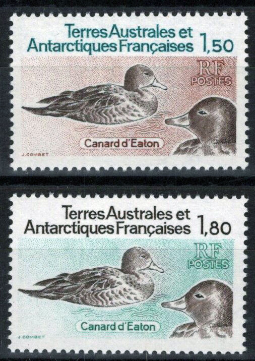 FSAT TAAF 101-102 MNH Birds Eaton's Ducks Arctic ZAYIX FSA-S0080M | eBay