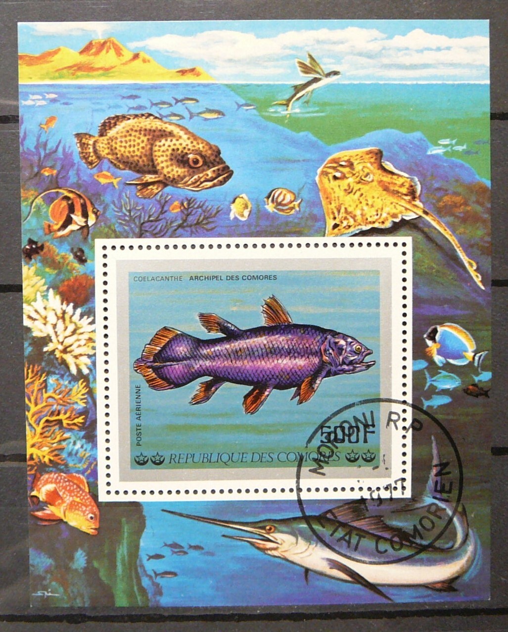 Comoros S. Sheet -Fish of the archipelago of the Comoros - Coelacanth ...