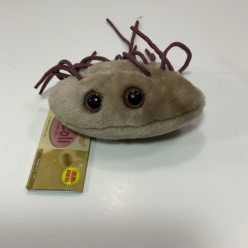 Giant Microbes E. Coli Plush Toy Science Educational by Drew Oliver Art ...