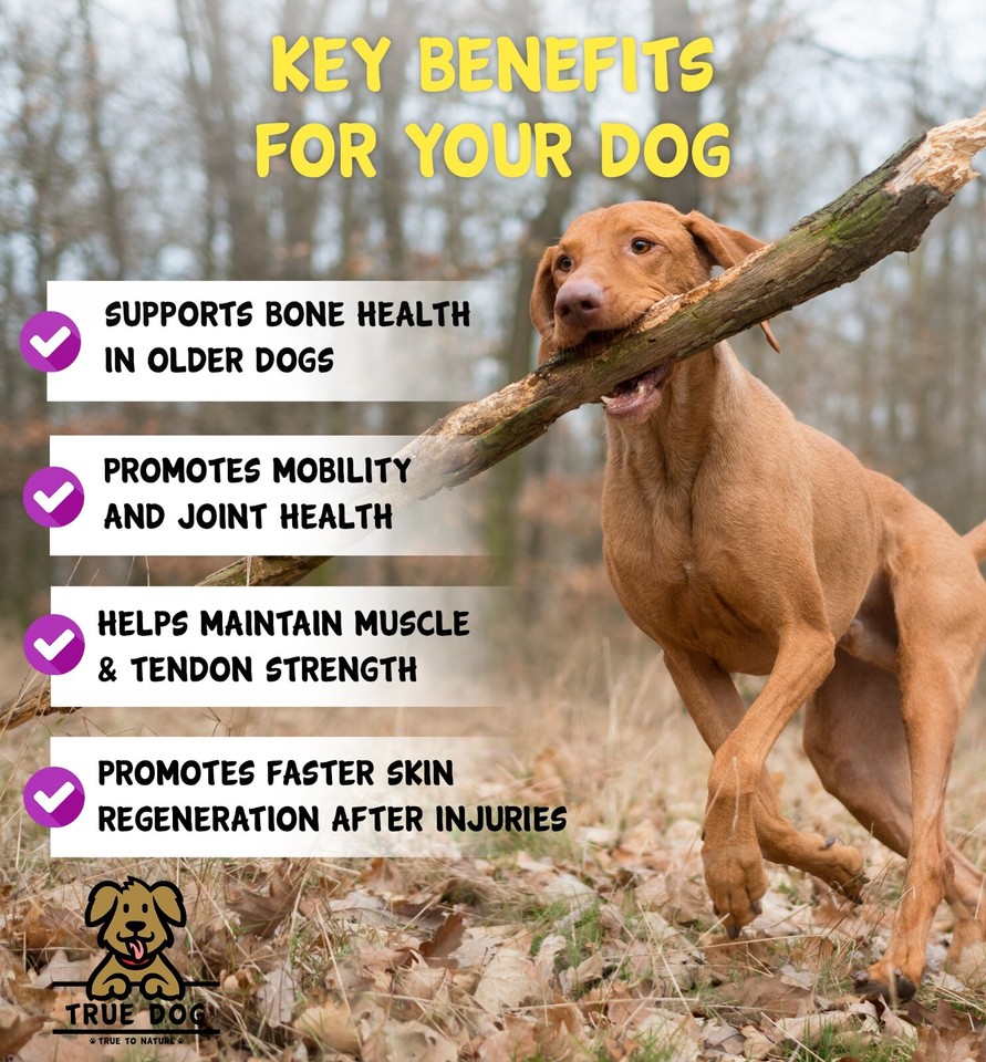 True Dog Collagen Boost 250g, Gums & Teeth, Joint & Mobility Support ...