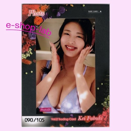 Hit'S/Fubuki Kei 2 Raw Photo Card 09 090/105 Purple Bikini | eBay.de