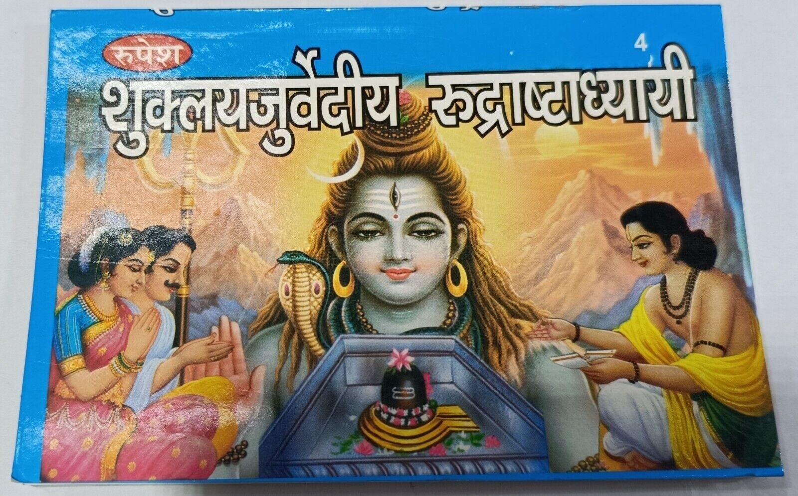 Shukla yajurvediya Rudrashtadhyayi Hindu Rudri Path For Shiv Poojan ...