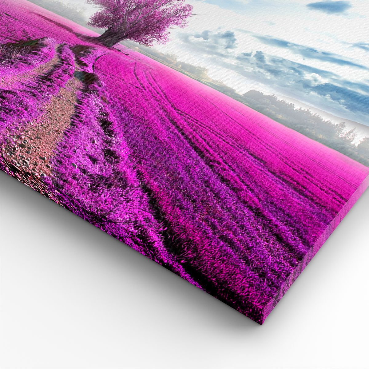 Impression sur Toile 140x50cm Tableaux Image Photo Bruyère arbre nuages ...