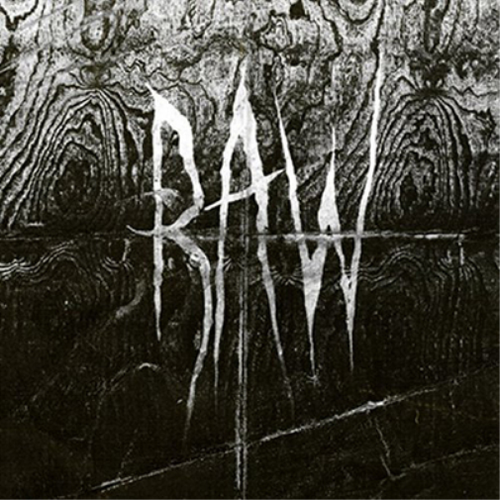 Raw From the First Glass to the Grave (CD) Album 8033622534846 | eBay