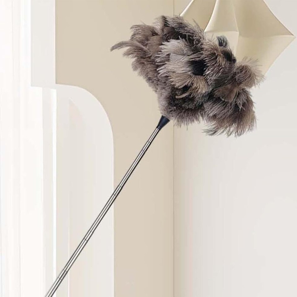 Retractable Feather Duster Duster Ostrich Feather Duster For Book ...