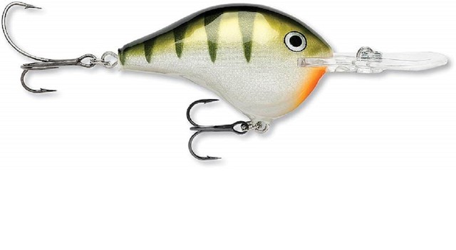 Rapala Dt4 Crankbait Series Yellow Perch for sale online | eBay