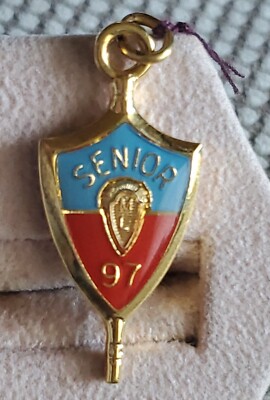Vntg High School Senior Class Pendant Red & Blue JOSTENS Goldtone Class ...