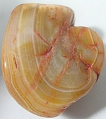 51 grs EXCELLENT NATURAL AGATE exotic color map | eBay