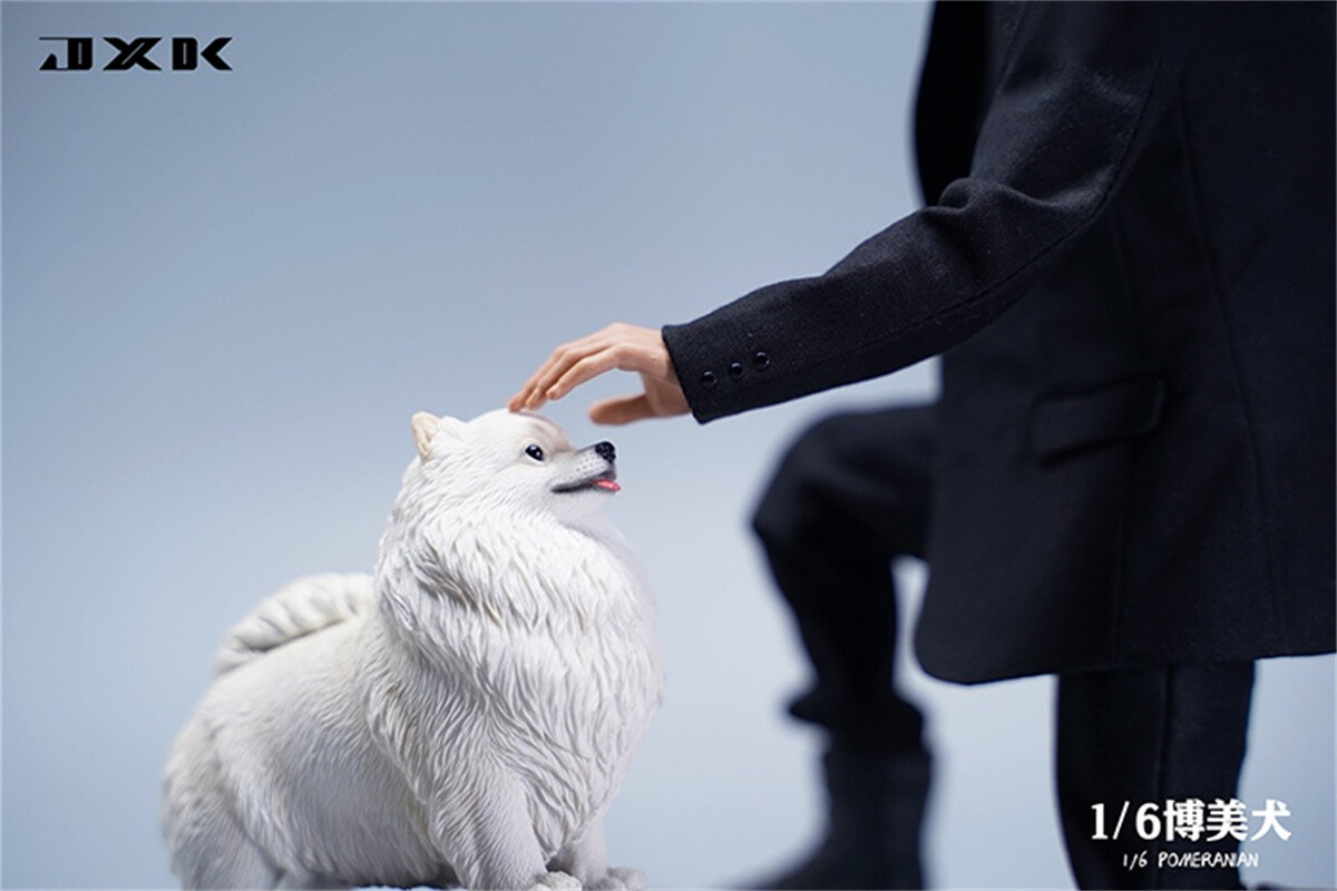 JXK 1:6 Scale Pomeranian Dog Model Animal Cute Figure Collection Decor ...
