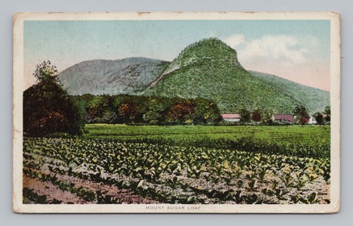 Postcard Mount Sugar Loaf South Deerfield Massachusetts c1917 | eBay