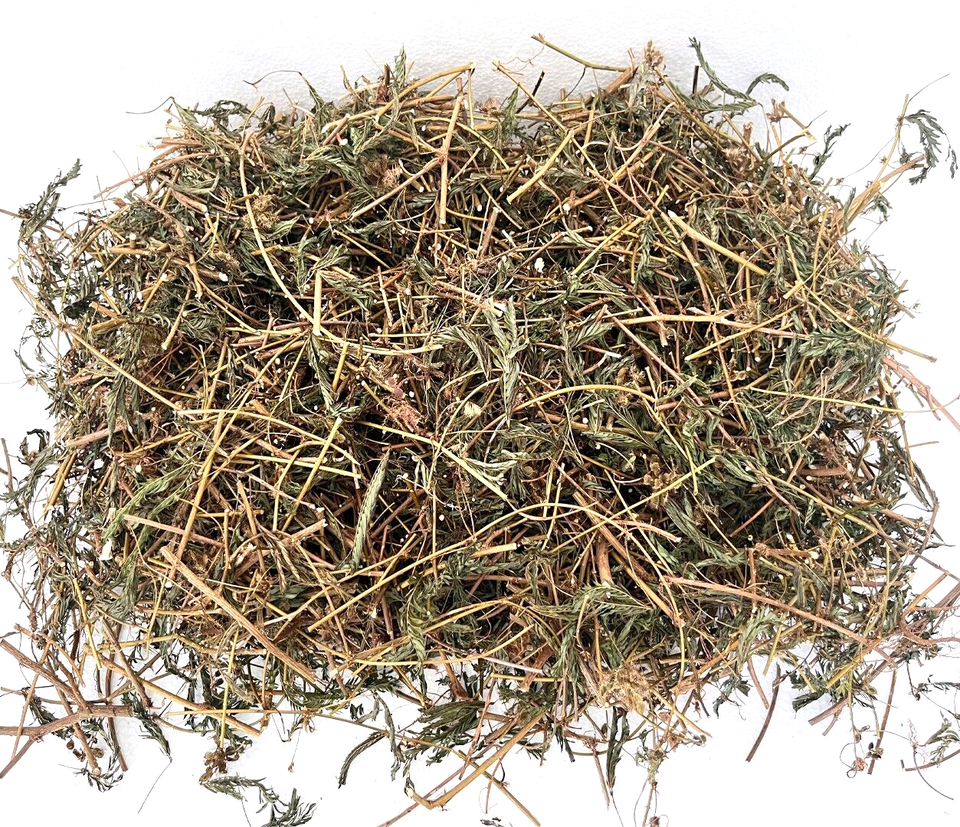 Dried Mimosa Pudica Sensitive Plant Root Leaves Powder Organic ...