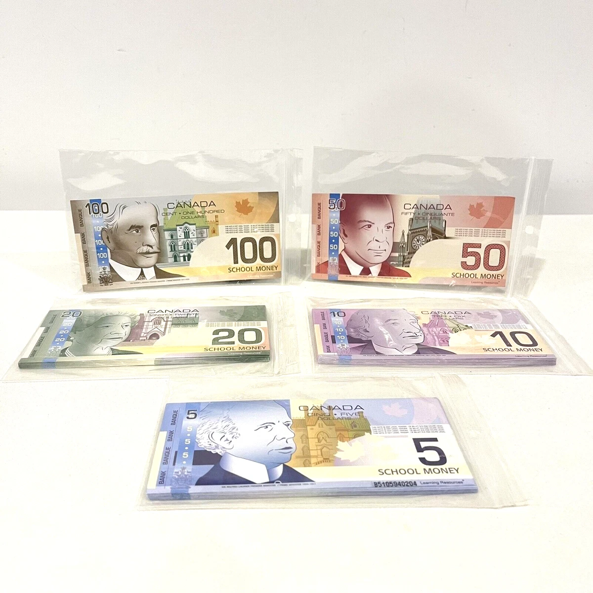 Canadian Money 100 Stack