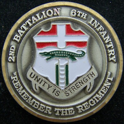 2nd Battalion 6th Infantry Commander & CSM Challenge Coin | eBay