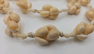 Necklace Cowrie Shell And Mini Conch Shell 30" Hula Costume Halloween ...