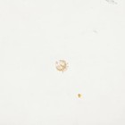 ME Geyey RS JS Germany RS Prussia Porcelain tea coffee pot cup saucer ...