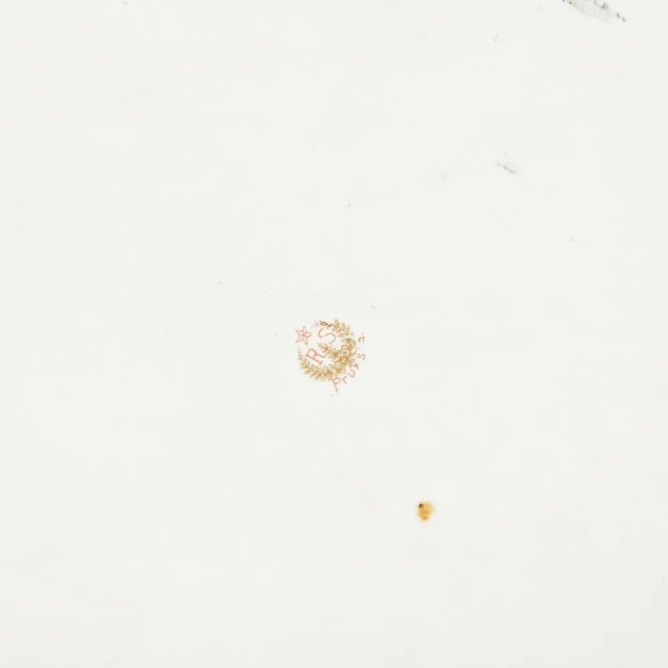 ME Geyey RS JS Germany RS Prussia Porcelain tea coffee pot cup saucer ...