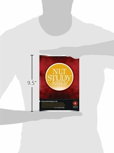 NLT Study Bible (2008, Hardcover) 9780842355704| eBay