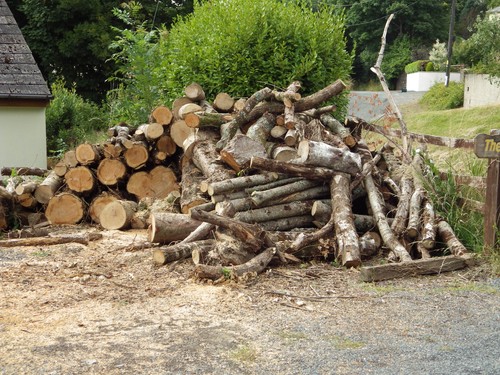 War Tec 16" Chainsaw Saw Chain Fits JCB Cs38 Pack of 2 for sale online ...