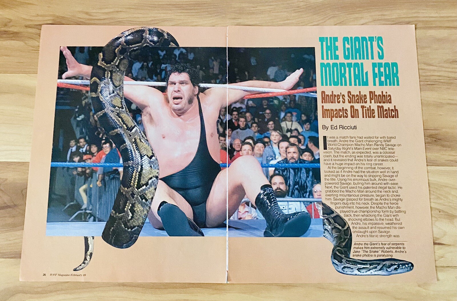 Andre The Giant & Jake The Snake 1989 WWF Magazine Photo Print Article🌟 ...