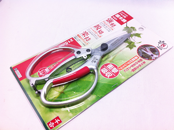 Japanese SENKICHI Bonsai Ikebana Koryu Shears Scissors Hasami SGP-5NS ...