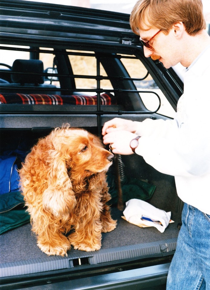 DCC Concepts LML-SSGR - 3 x 00 Gauge LED Green Swan Neck Lights ...